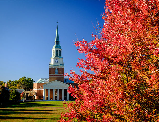 Laura Giovanelli | Department of English | Wake Forest University